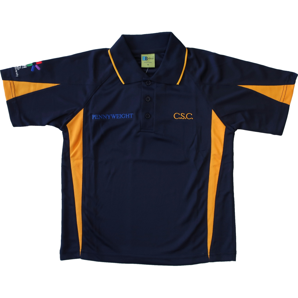 SPORTS MESH CONTRAST PANELS SPORTS TOP - Beleza School Uniforms